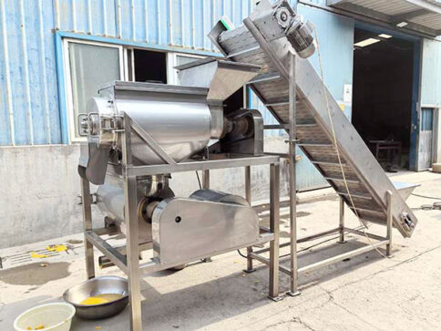 Fruit Pulper Machine | Fruit Pulp Making Machine