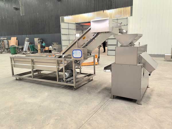 Shipping DGJ-800 Lemon & Orange Juicer Machine to Chile